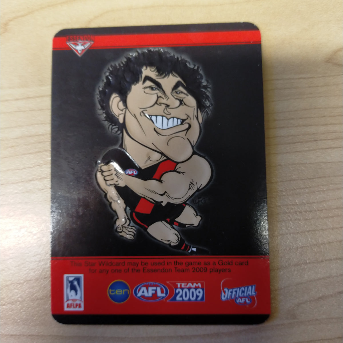 2009 Teamcoach Star Wildcard Patrick Ryder Essendon SW-05 – Shields ...