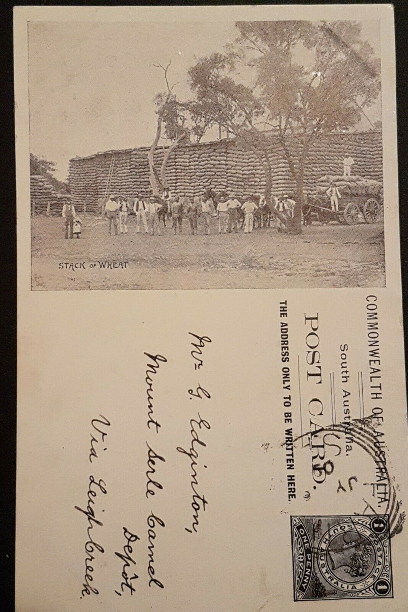 SA South Australia Australian States 1909 Postcard Stack of Wheat hors ...