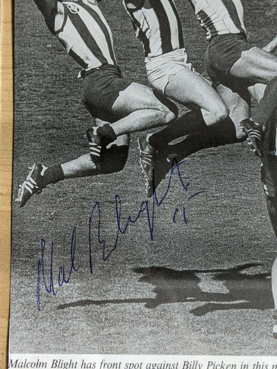 Malcolm Blight North Melbourne Kangaroos Hand Signed Picture – Shields ...